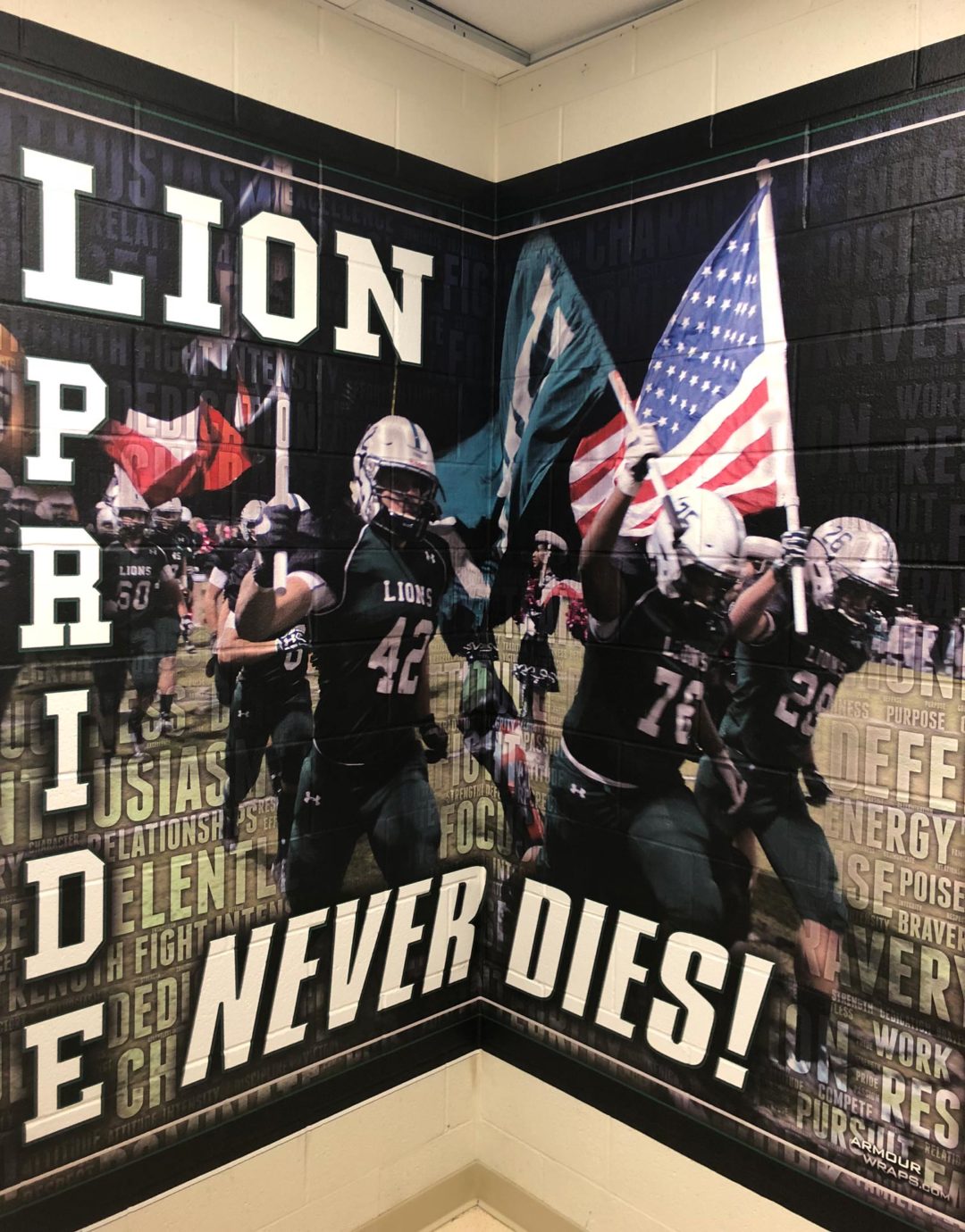 Wall Wraps - Custom Wall Wraps, Designs & Installation